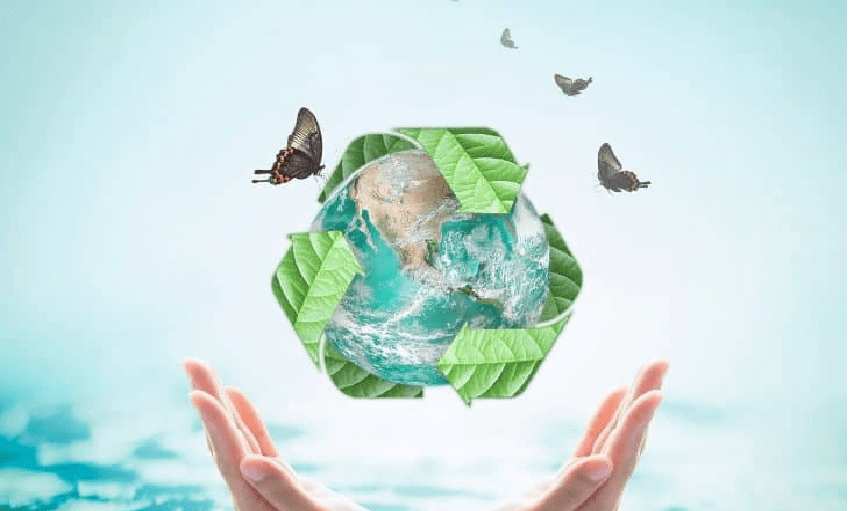 Green Living Practices: A Comprehensive Guide For