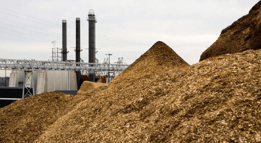 Biomass Energy: Transforming the Future of Renewable Power